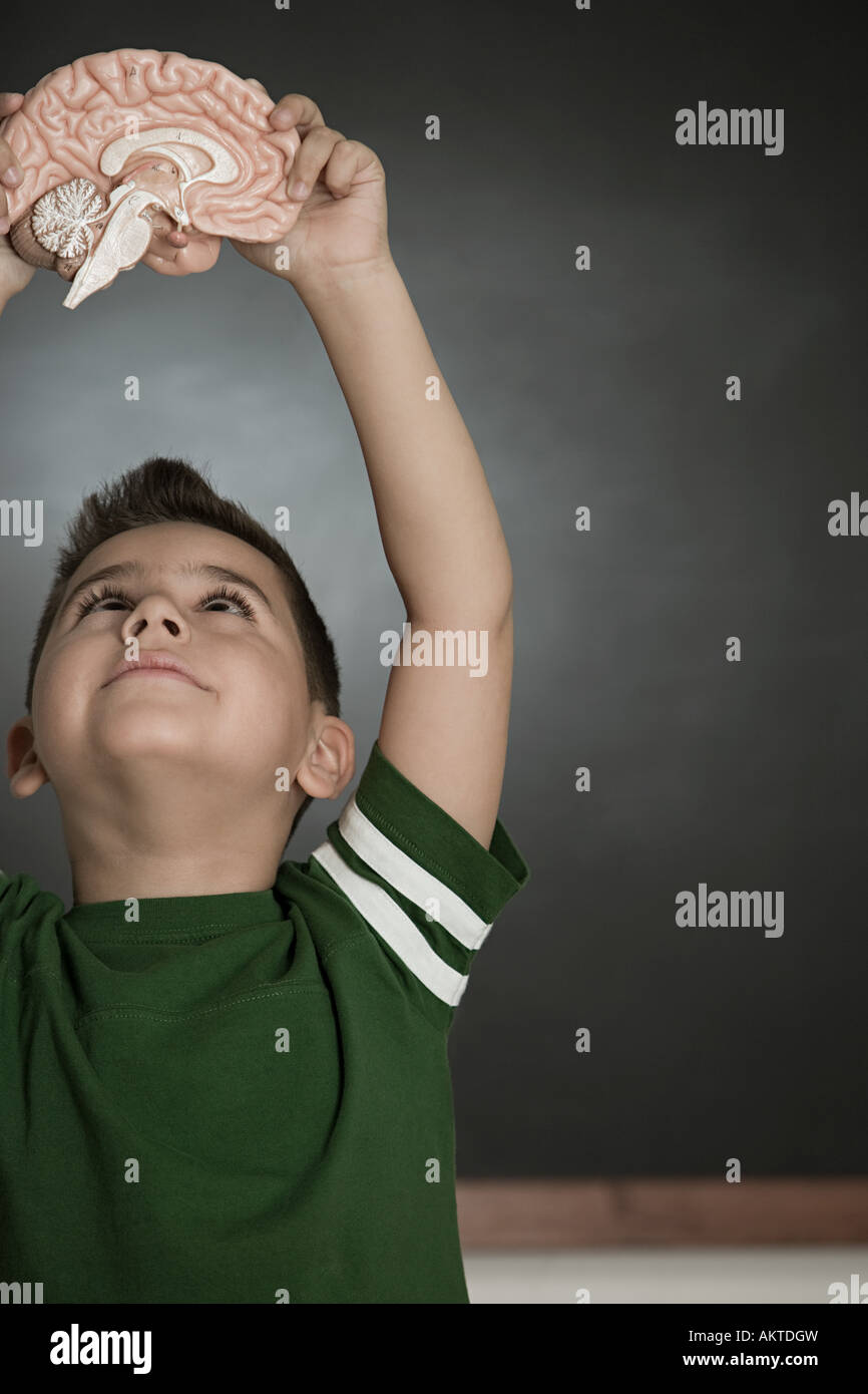 Child model brain hi-res stock photography and images - Alamy