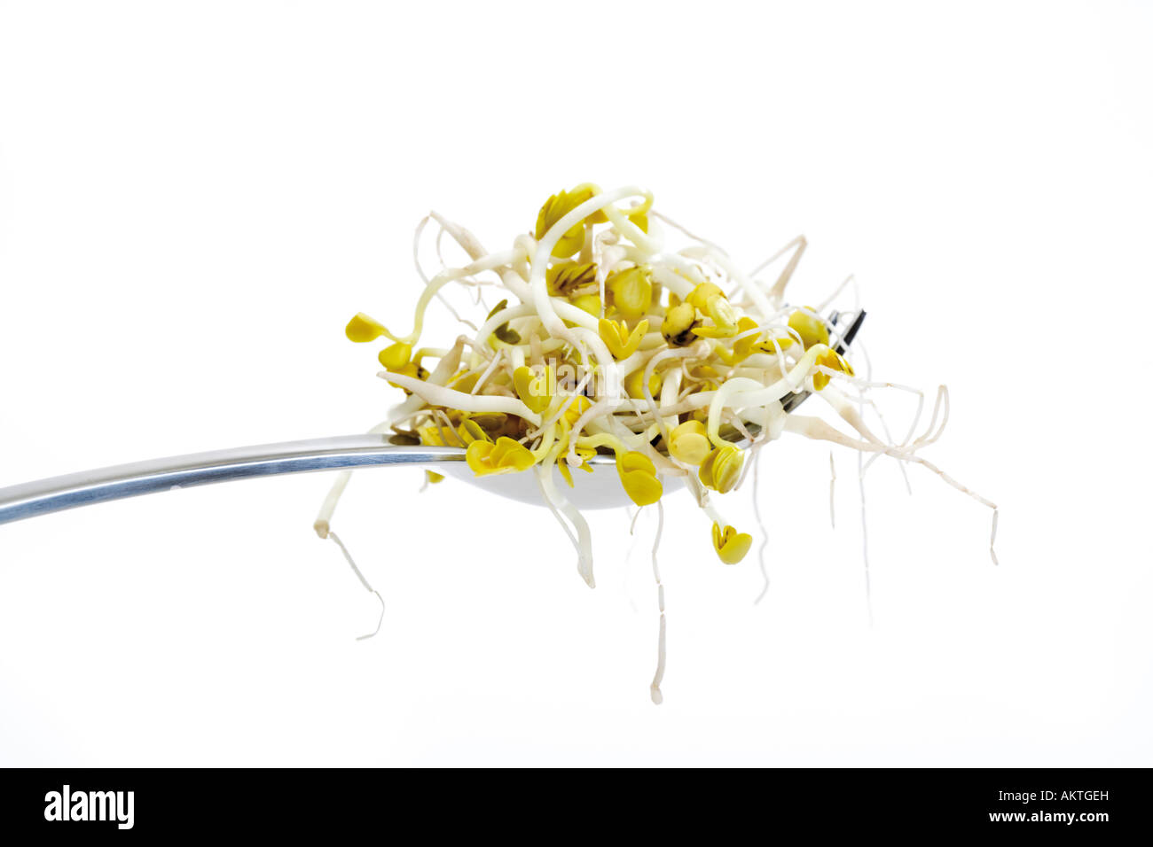 Sprouts radish hi-res stock photography and images - Alamy