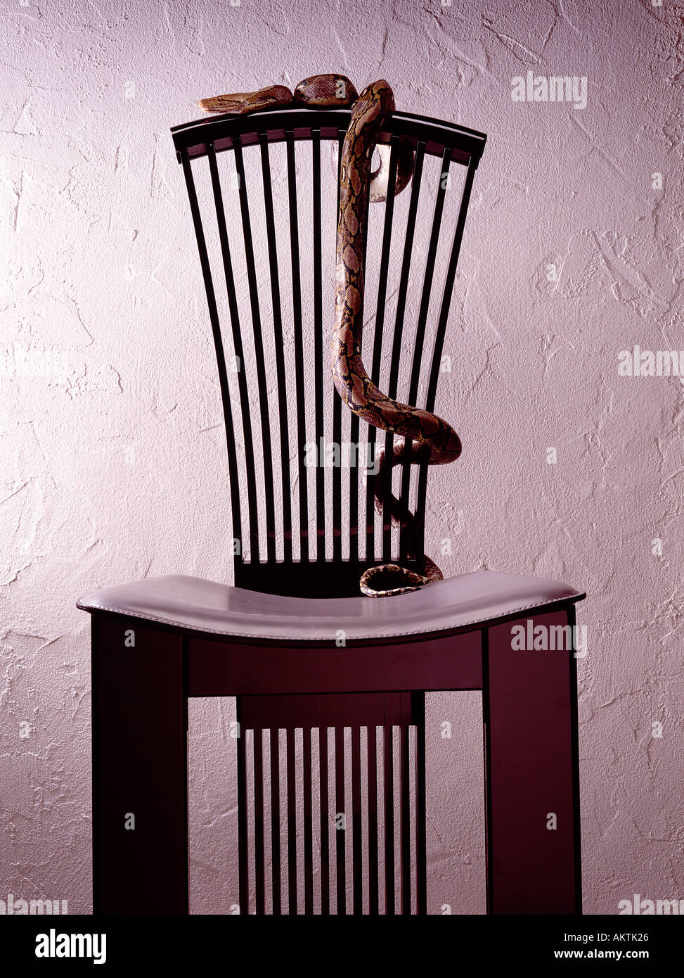 still life modern contemporary style single chair w snake copy space ...