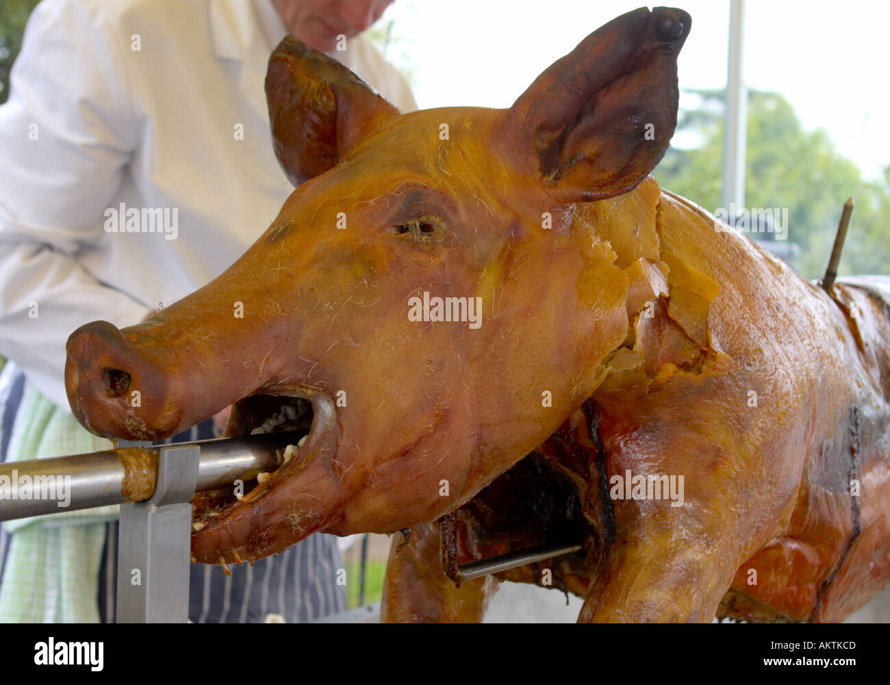 a whole pig roasting on a barbeque spit with cook Stock Photo - Alamy