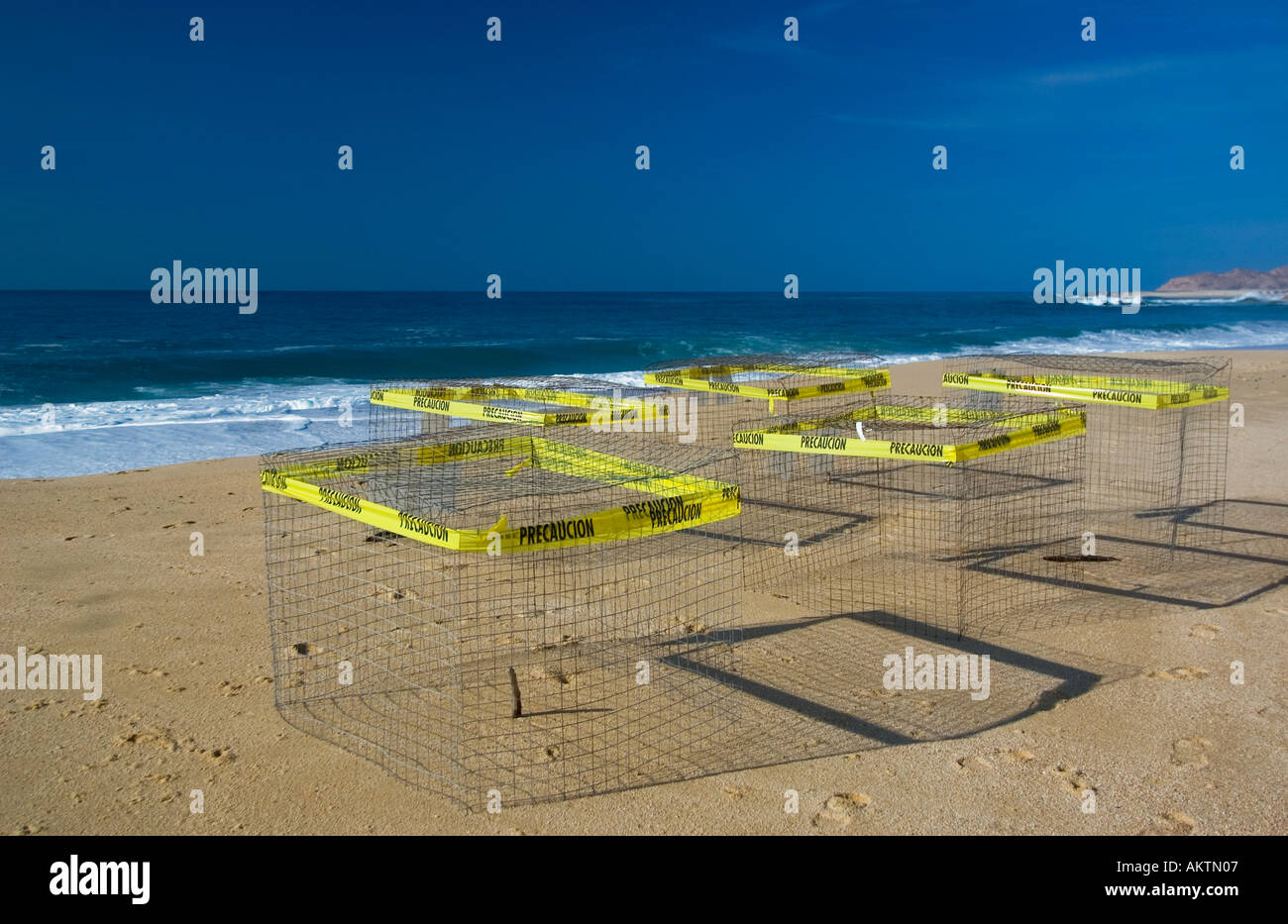 Protected Turtle nesting sites in Baja Mexico Stock Photo - Alamy