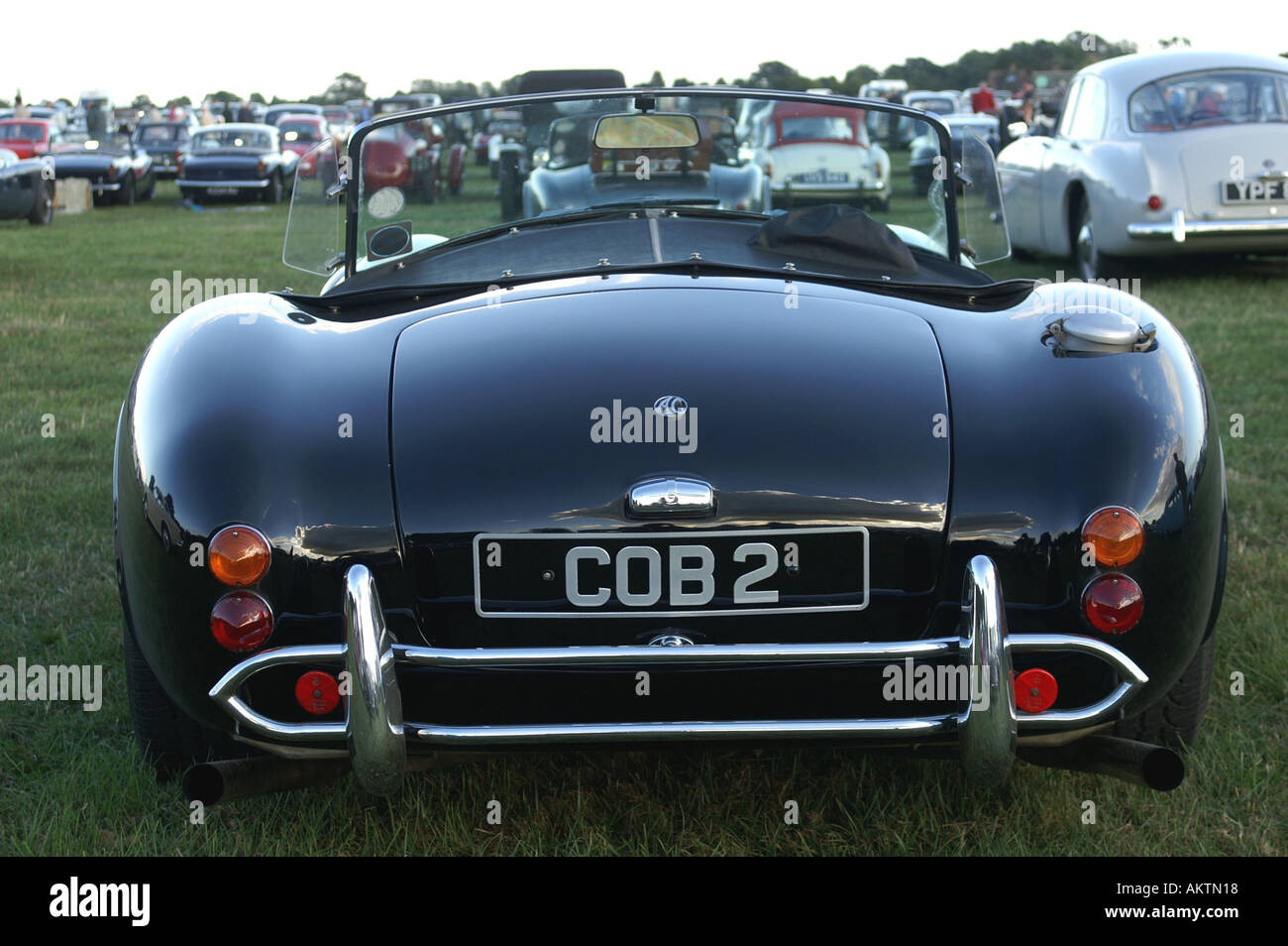 Ac cobra badge hi-res stock photography and images - Alamy