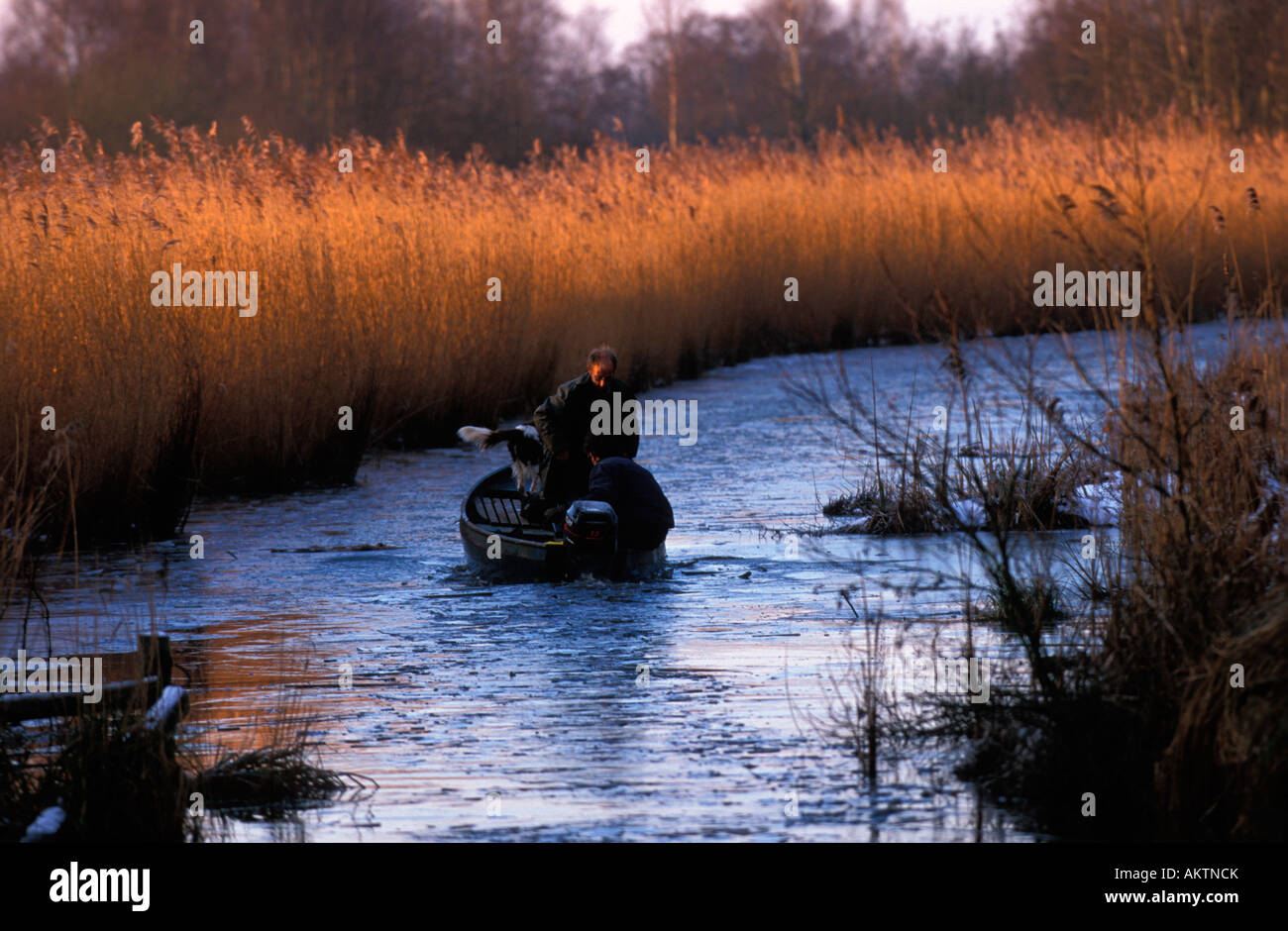 Reed cutter hi-res stock photography and images - Alamy