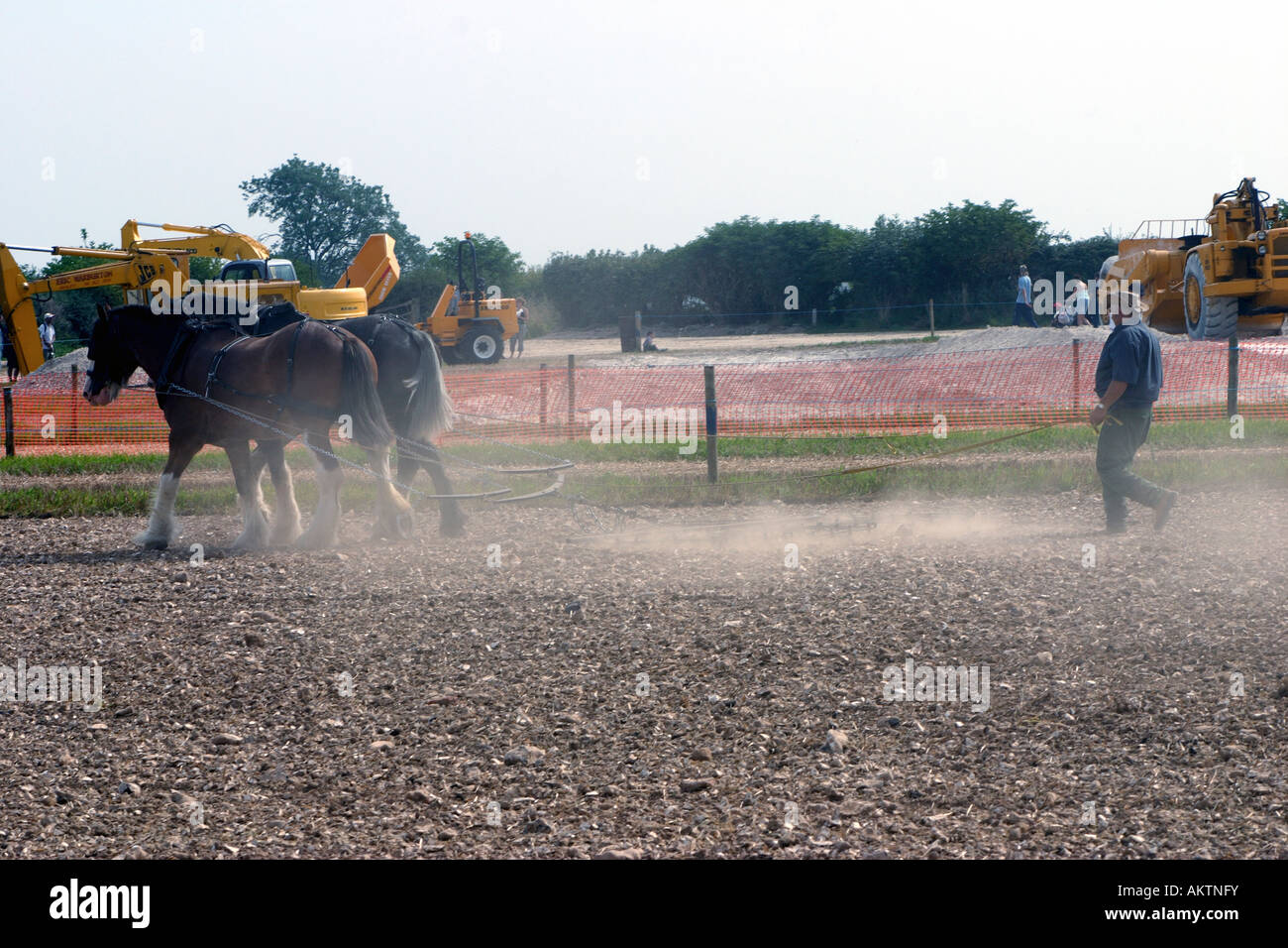 Handler driving harrow with a pair of shire horses at Great Dorset ...