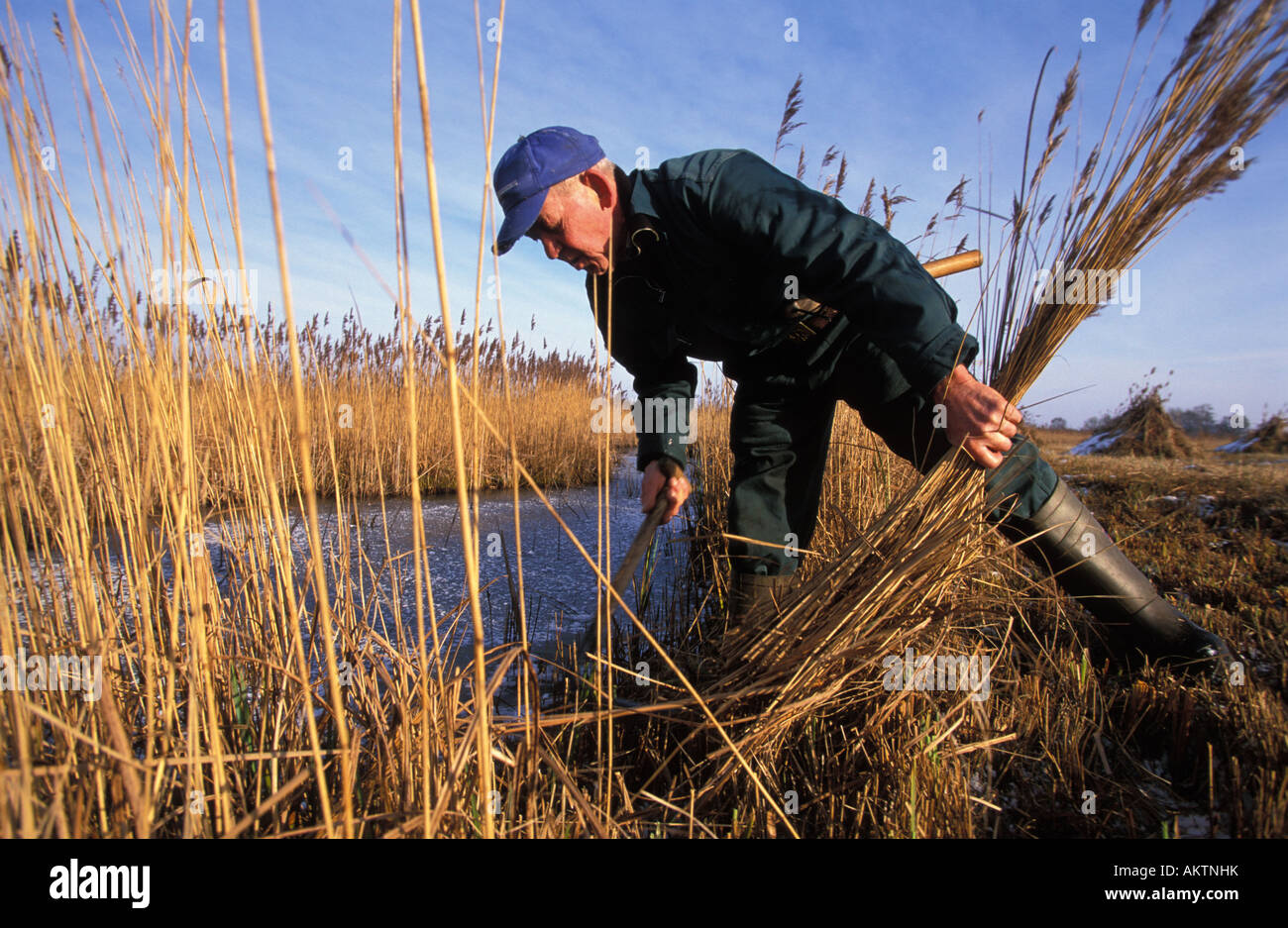 Weerr hi-res stock photography and images - Alamy