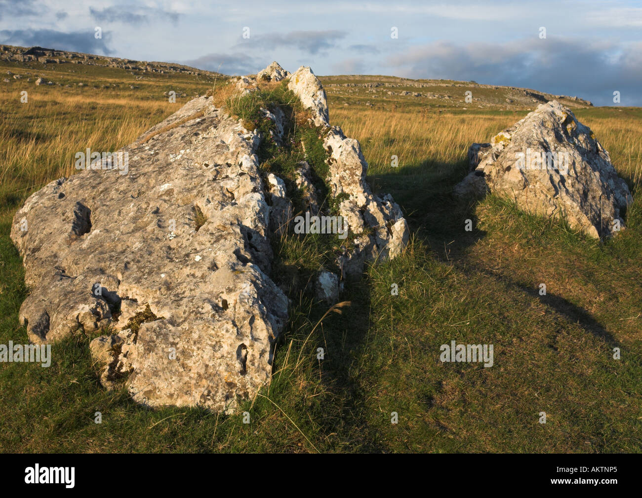 Field of Rocks Stock Photo - Alamy