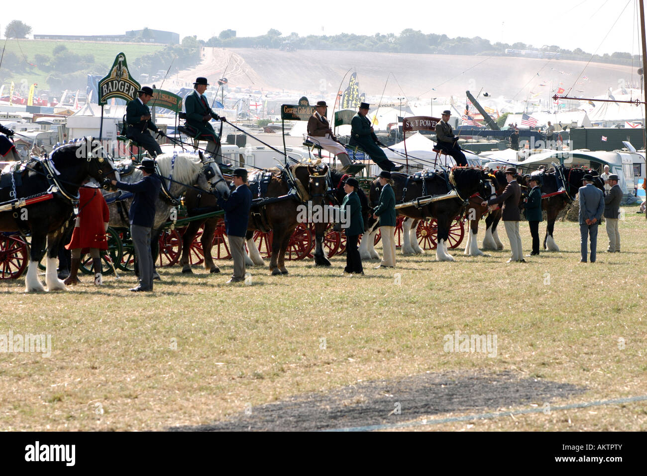 Line up of heavy horses and drays at Great Dorset Steam Rally 2005 ...