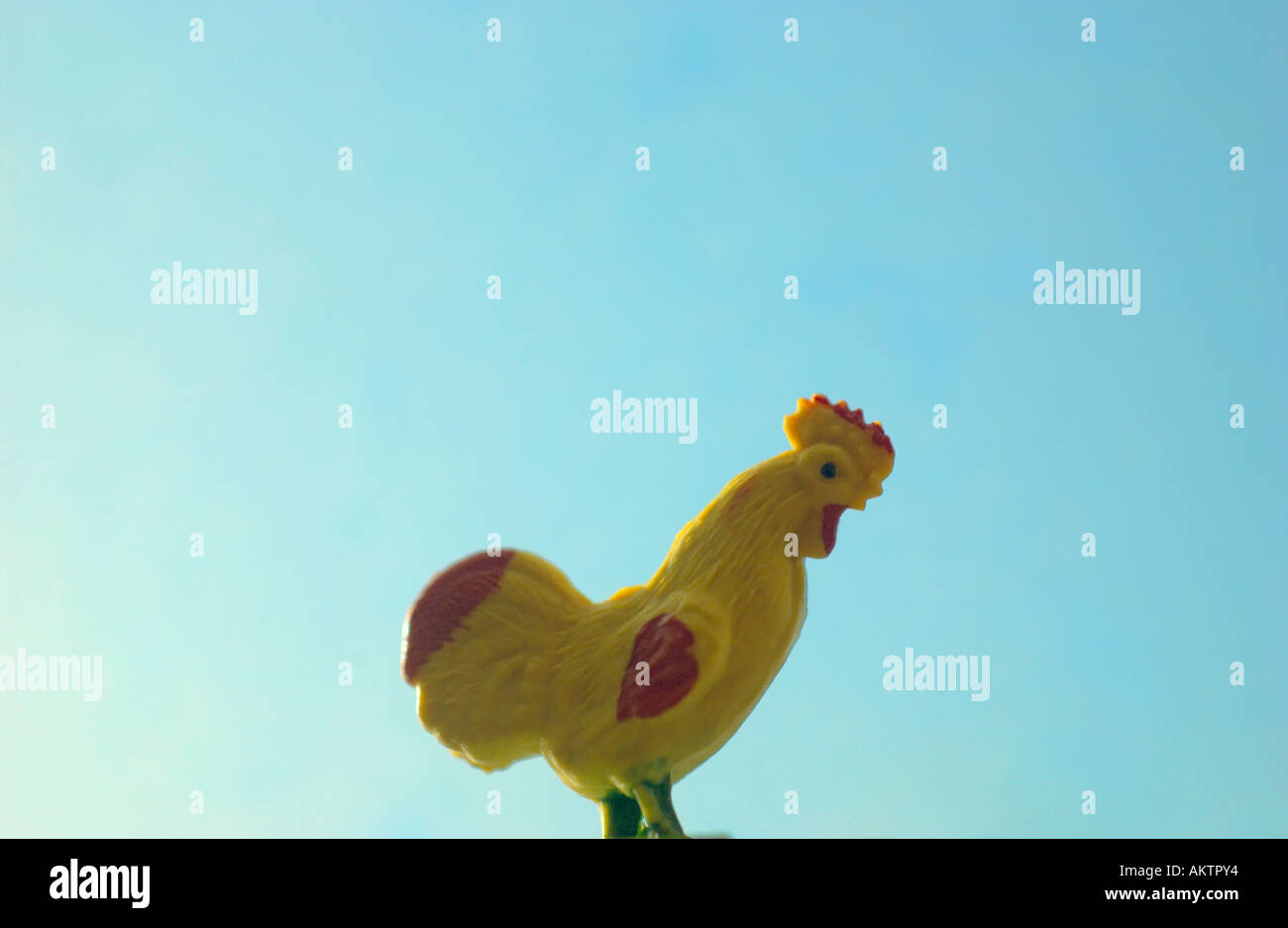 Toy rooster hi-res stock photography and images - Alamy