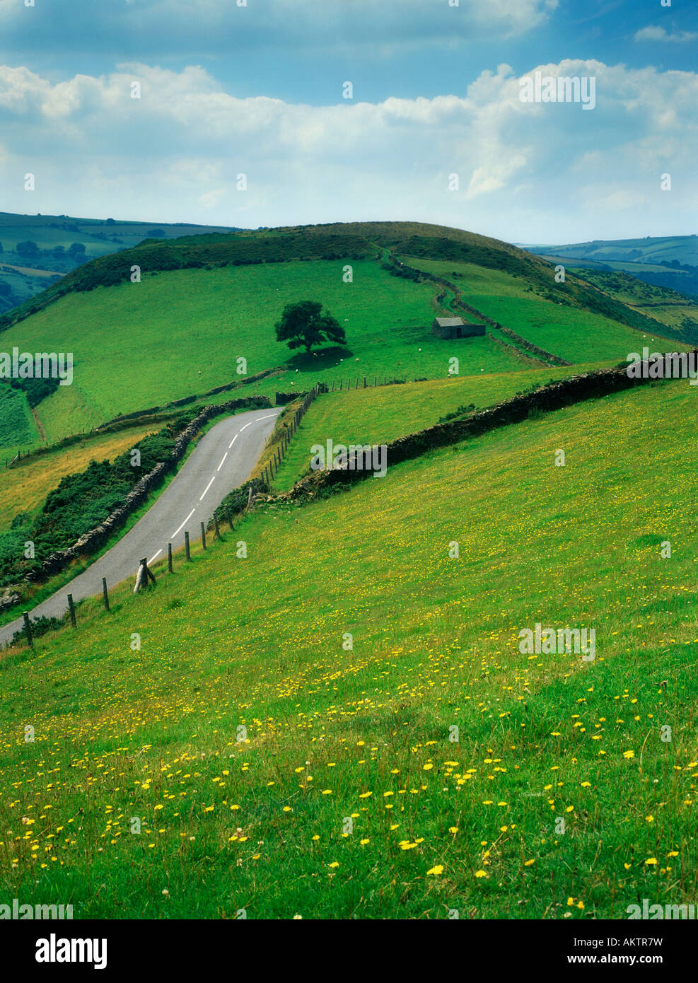 Countisbury Hill Exmoor Devon England UK Stock Photo - Alamy