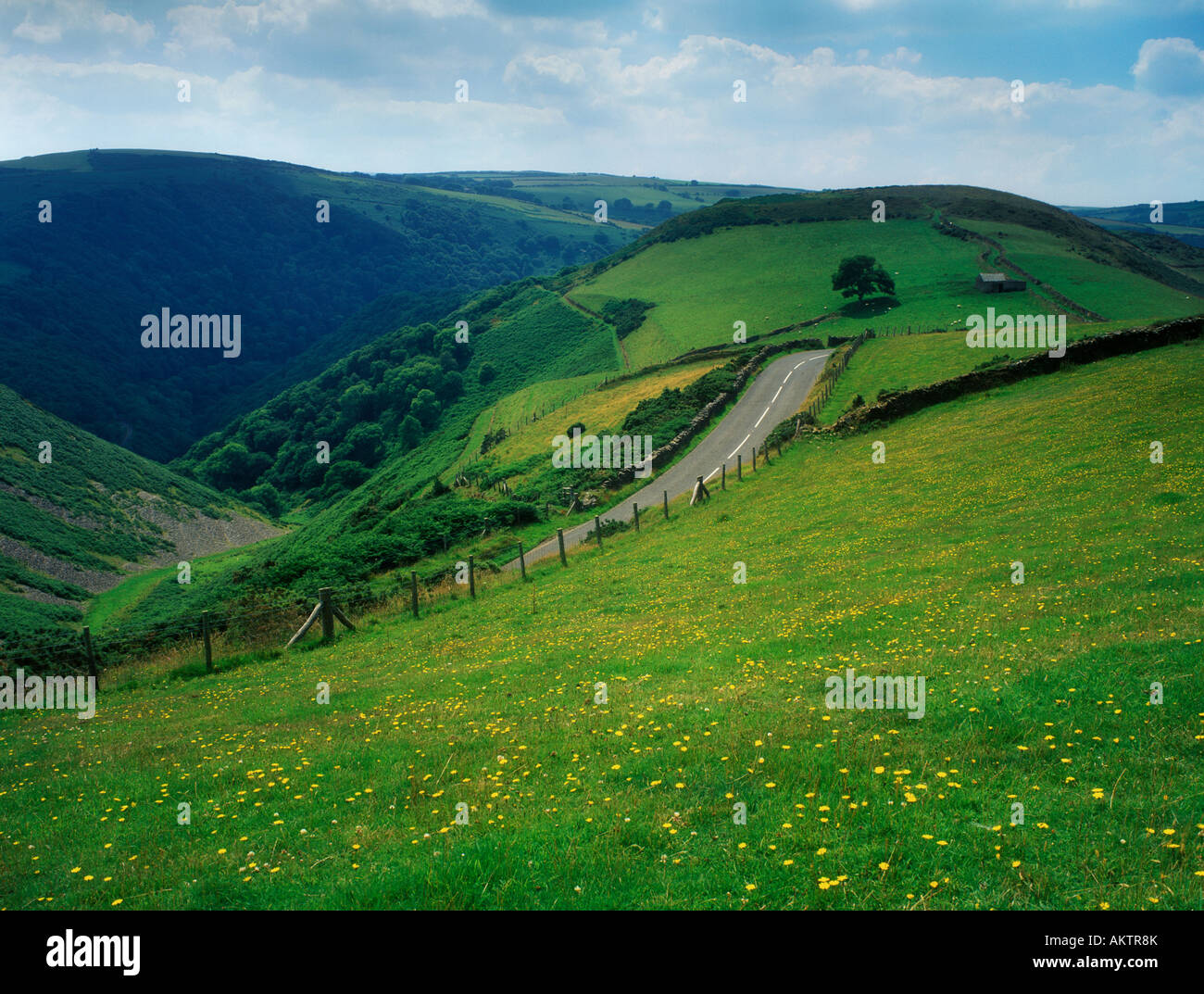 Countisbury Hill Exmoor Devon England UK Stock Photo - Alamy