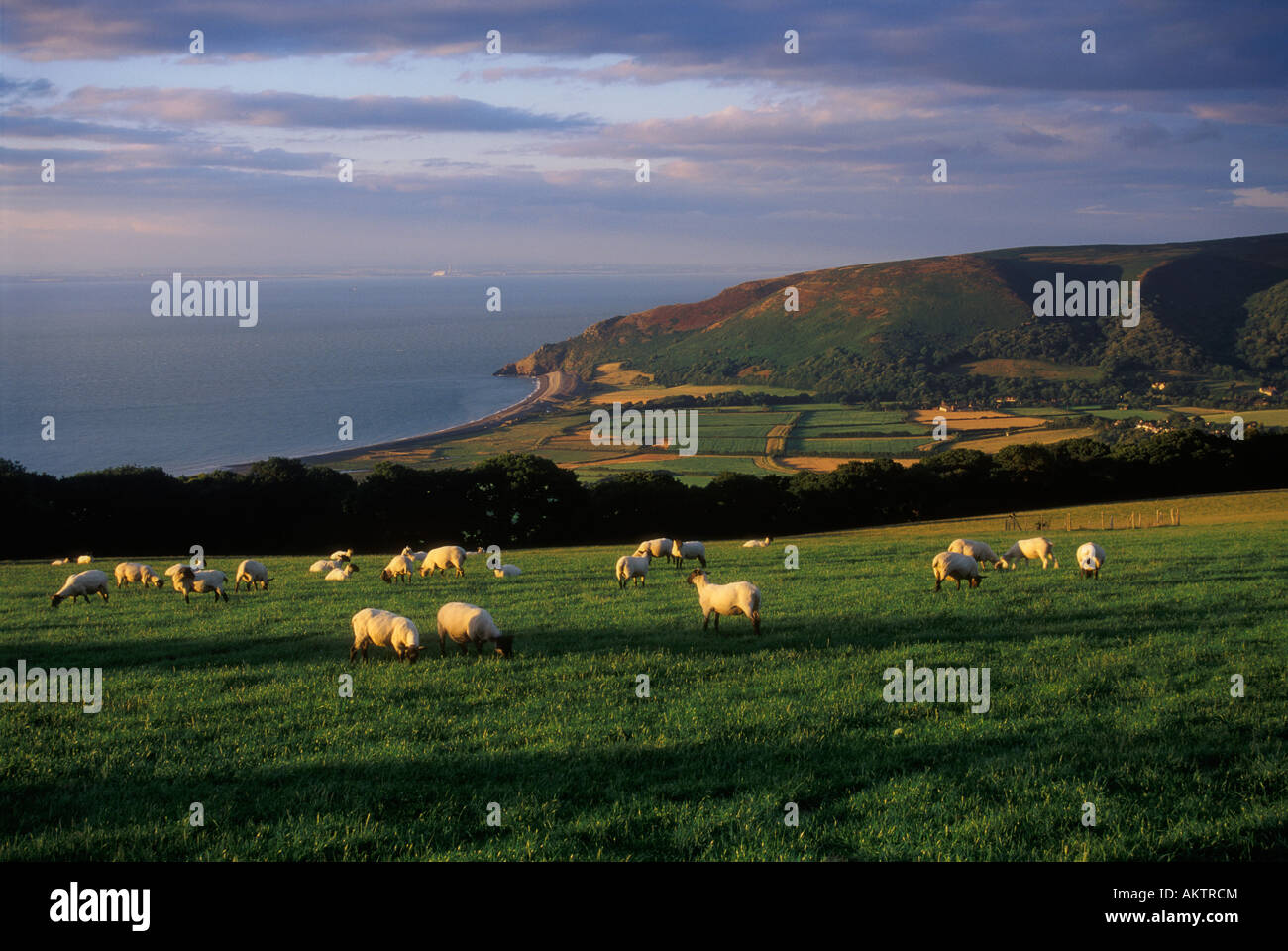 Porlock vale hi-res stock photography and images - Alamy