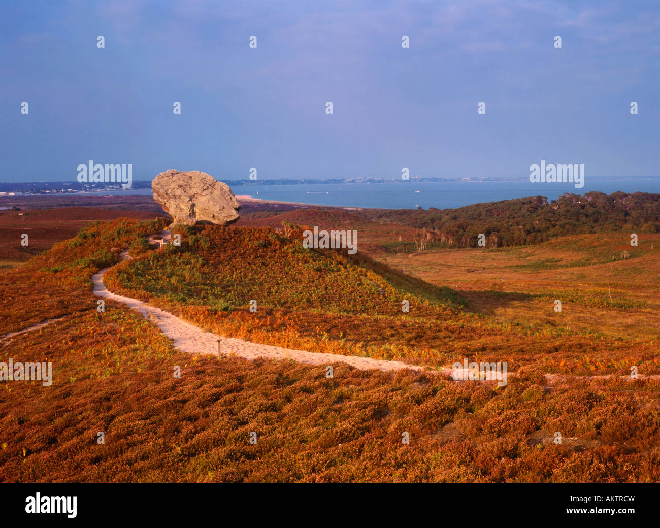 The Agglestone Rock on Studland Heath Dorset England UK Stock Photo - Alamy