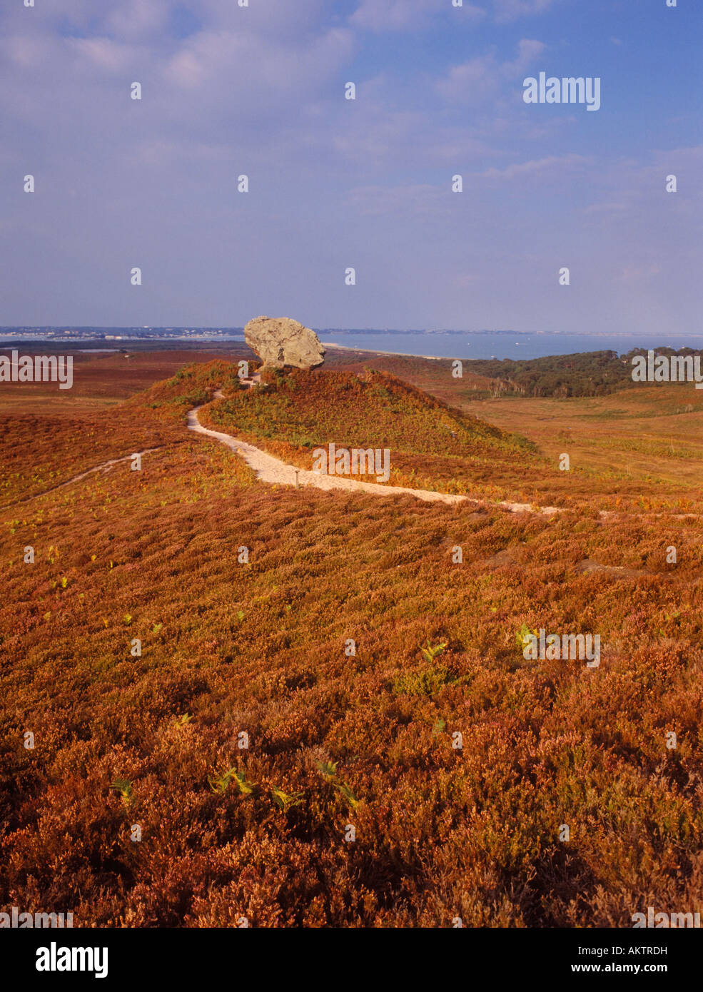 The Agglestone Rock on Studland Heath Dorset England UK Stock Photo - Alamy