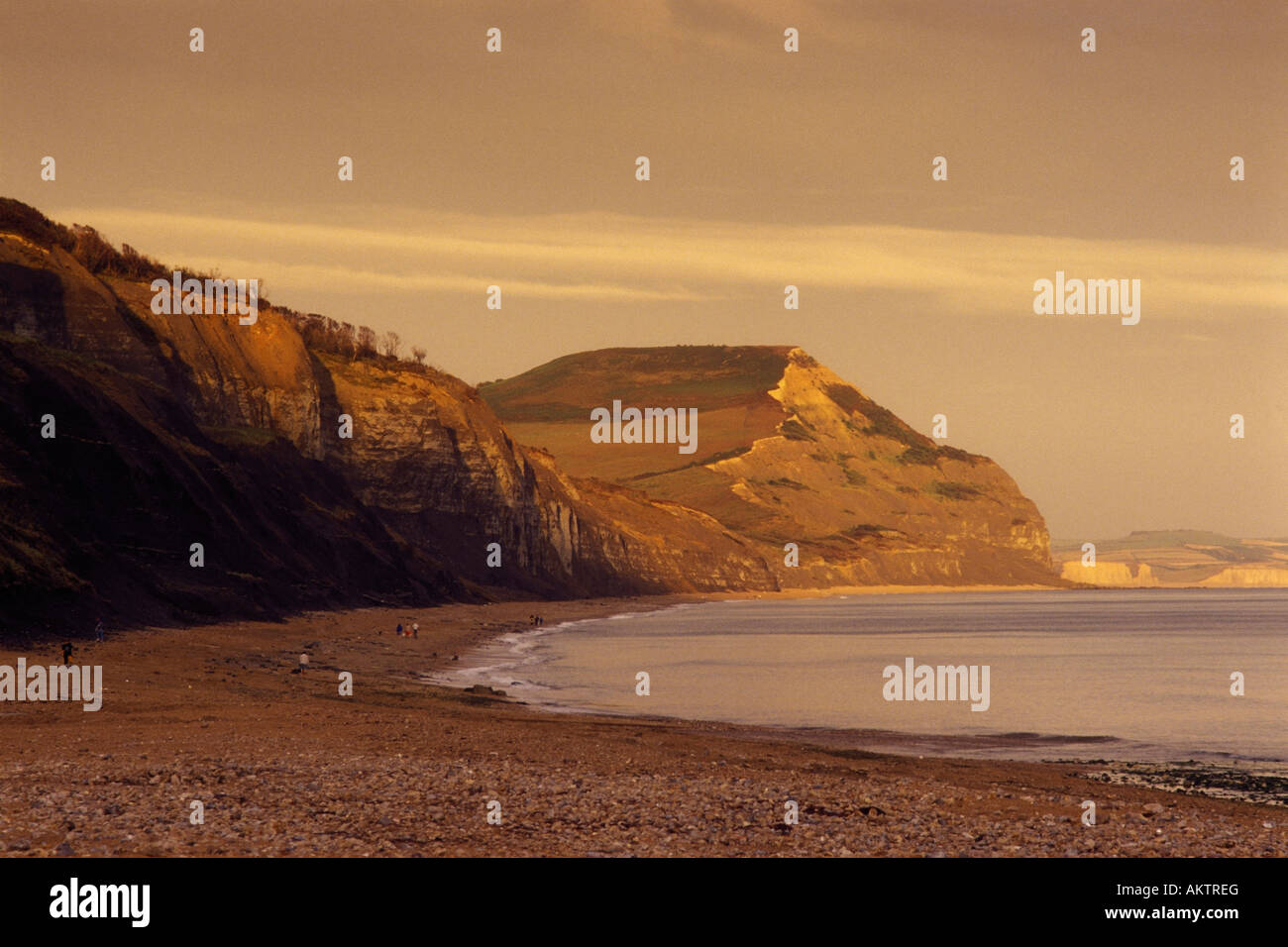 Golden Cap High Resolution Stock Photography and Images - Alamy