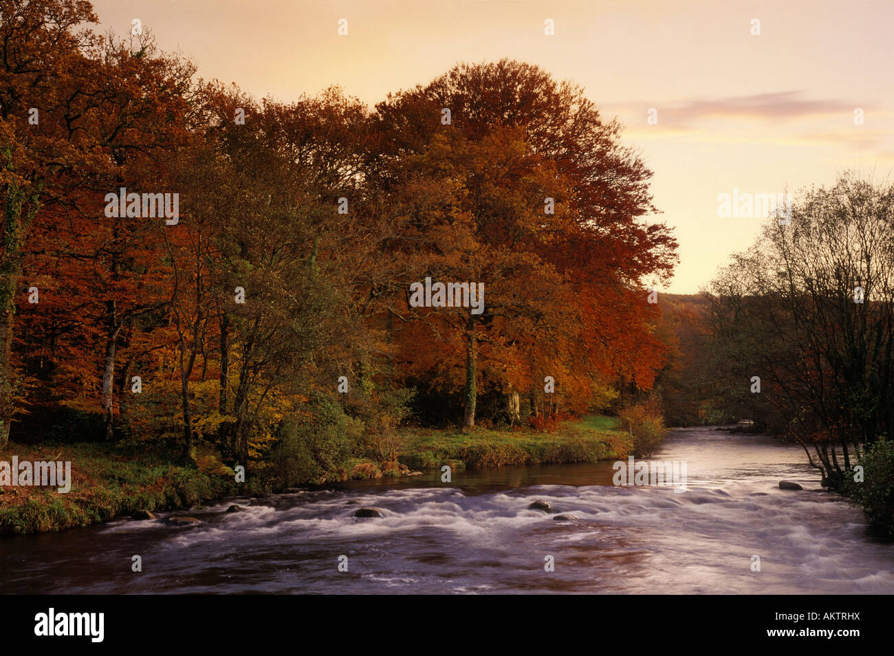 River Dart at Spitchwick Dartmoor England UK Stock Photo - Alamy
