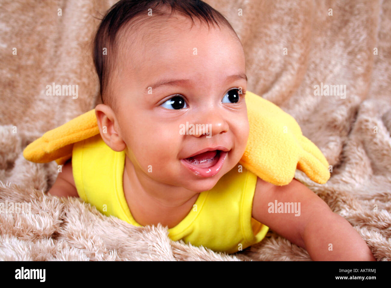 Chubby chick hi-res stock photography and images - Alamy