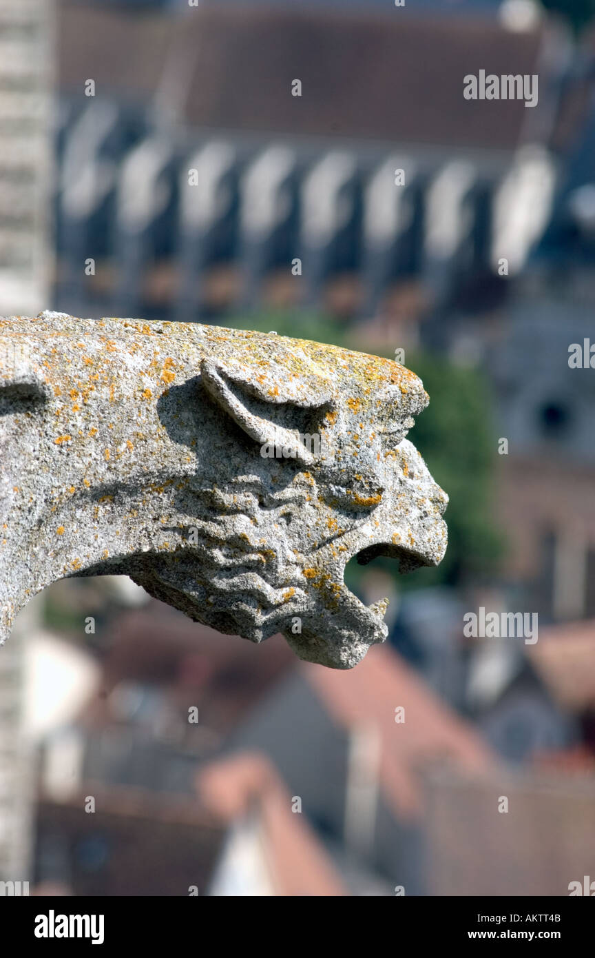 Chartres, France, Close up, Exterior "Notre Dame Cathedral" Overview of ...