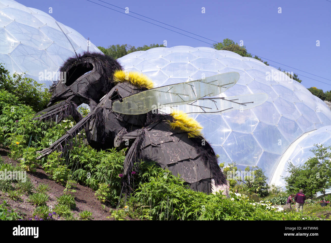 Robert Bradford's Bee at the Eden Project, Boldeva, St Austell ...