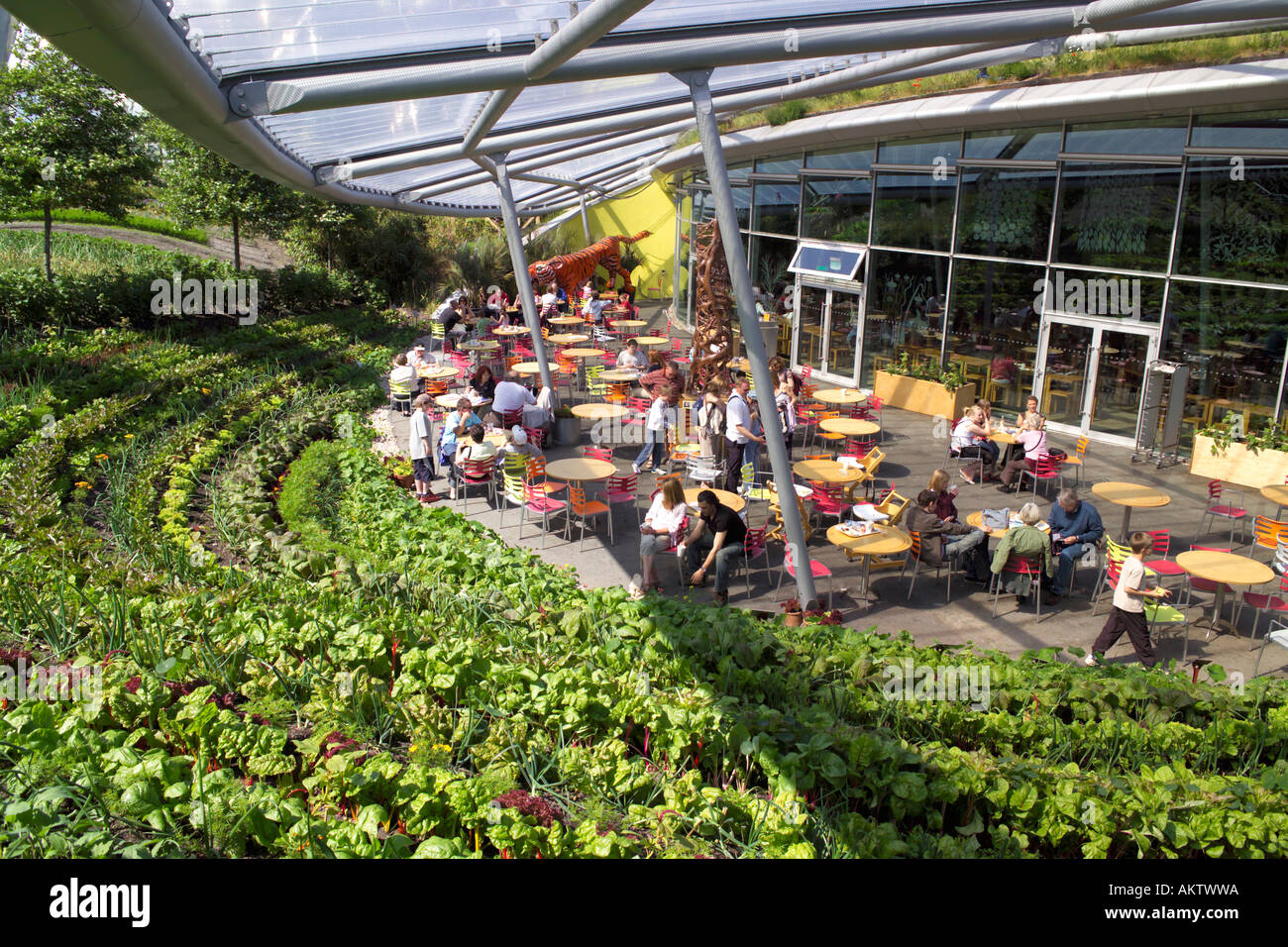 Eden project cafe hi-res stock photography and images - Alamy