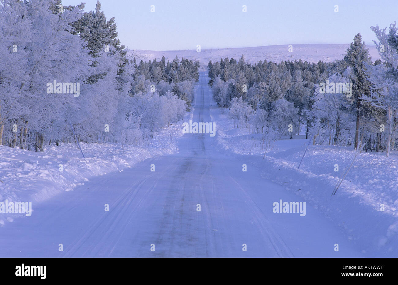 Sweden road landscape hi-res stock photography and images - Alamy