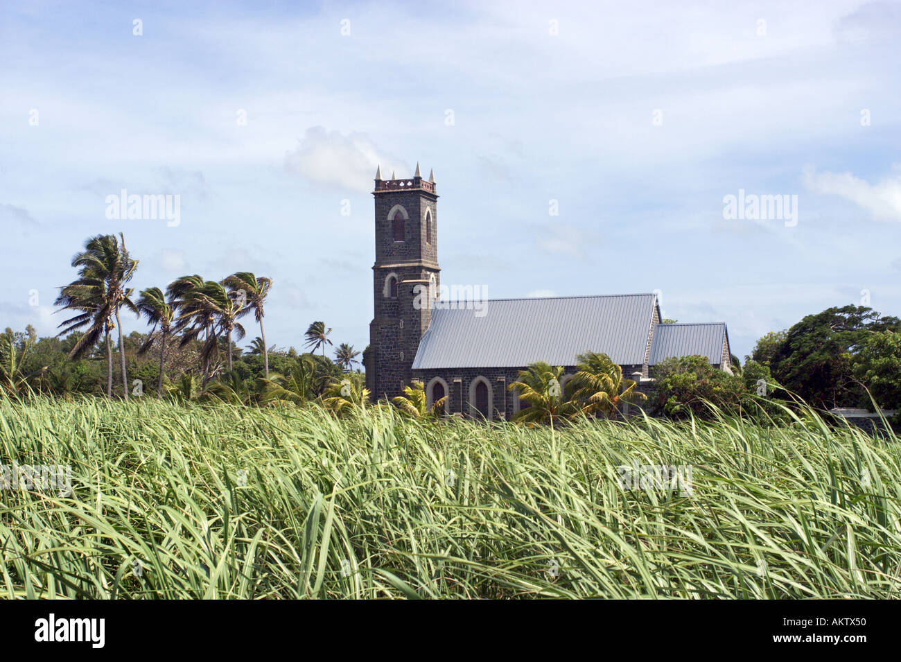 old church in sugar cane field Stock Photo - Alamy