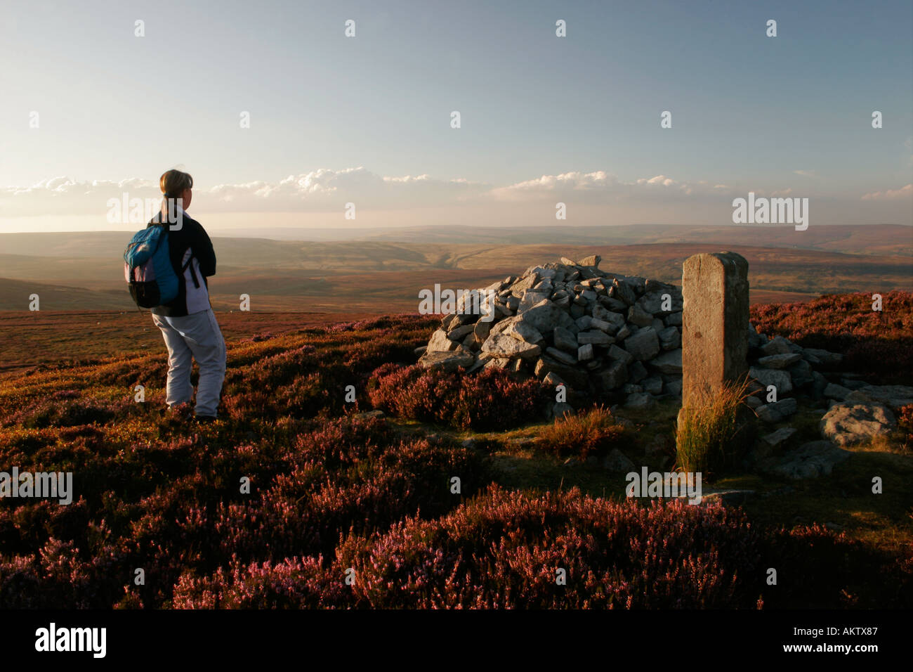 The View North into Weardale with Purple Heather Covered Moors from the ...