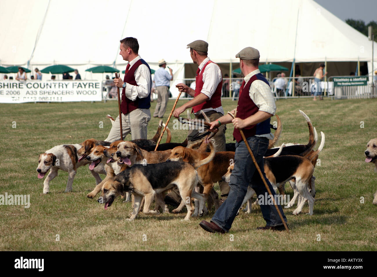 Mink Hounds and Fox Hounds with Handlers and Public at Wokingham ...