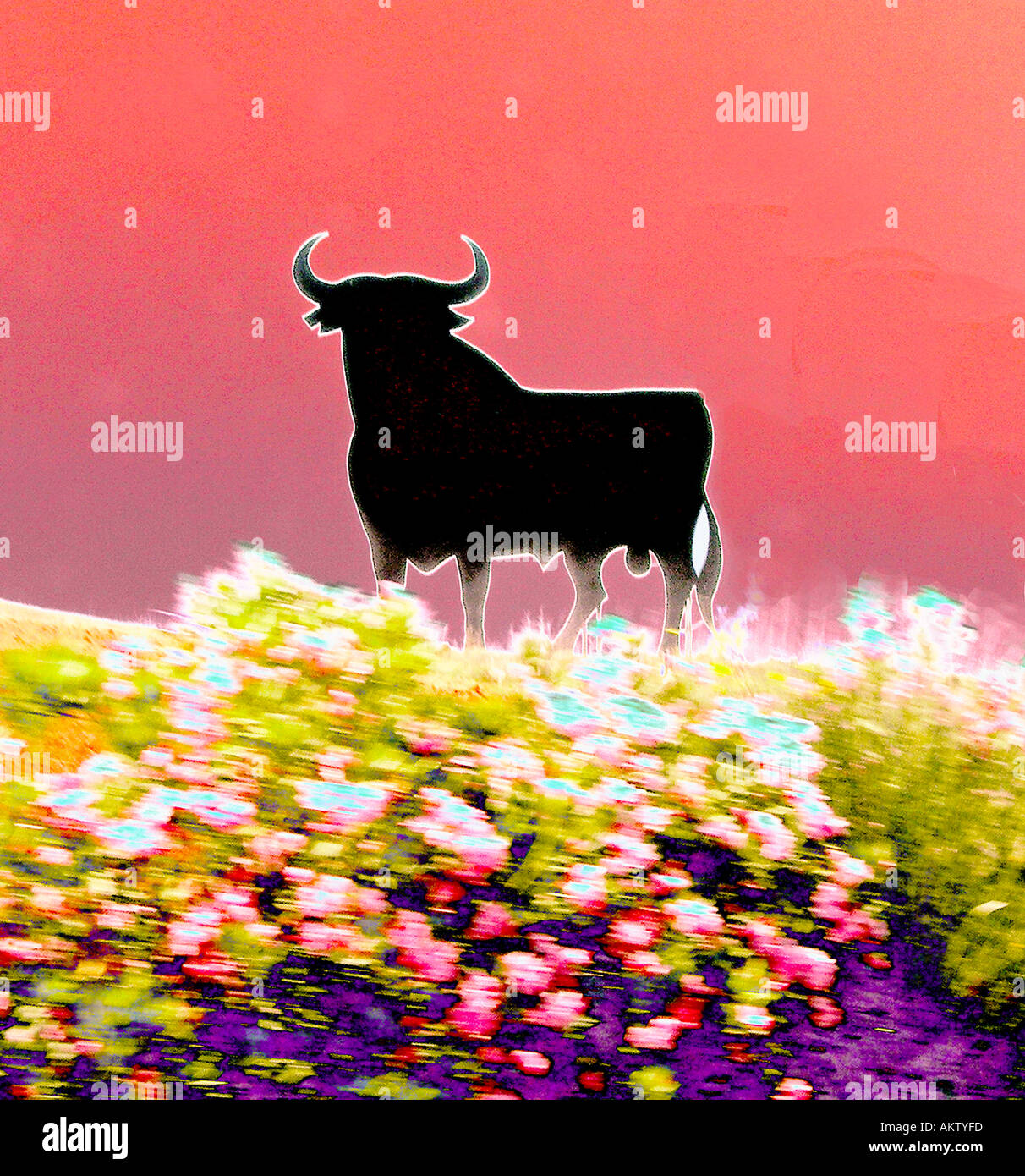 spain landscape bull Stock Photo - Alamy