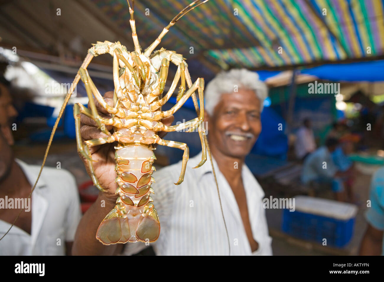 INDIA KERALA COCHIN MAN HOLDING UP LOBSTER Stock Photo - Alamy