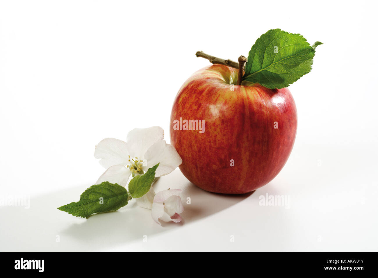 Red apple and flower, close-up Stock Photo - Alamy