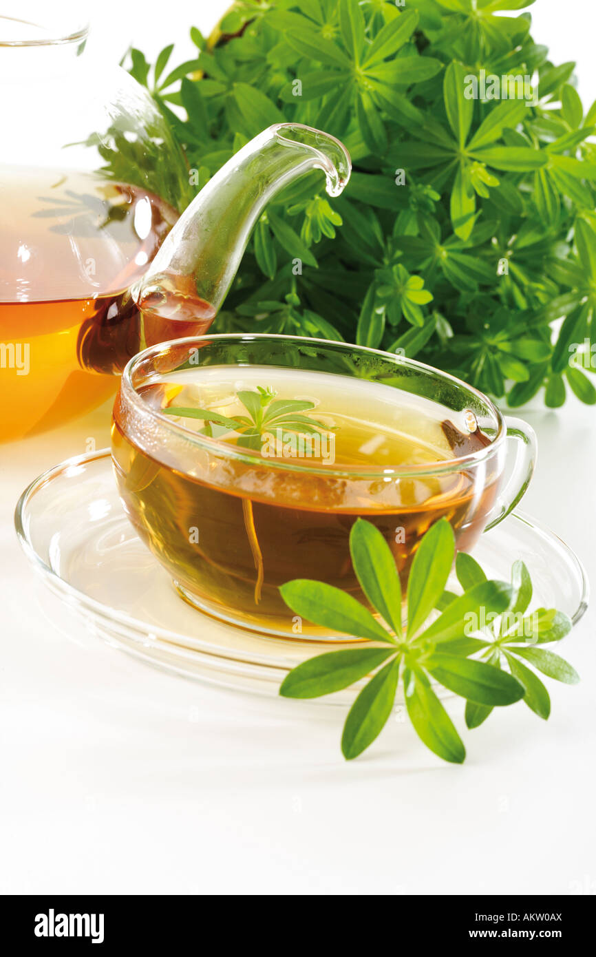 Woodruff and woodruff tea, close-up Stock Photo - Alamy