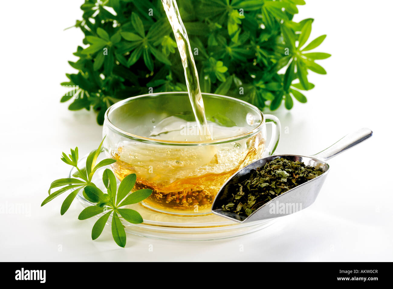 Woodruff tea hi-res stock photography and images - Alamy