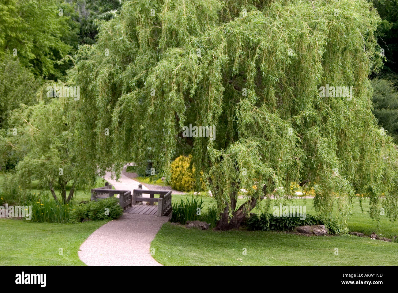 Outdoor scenery with an arching tree hi-res stock photography and ...