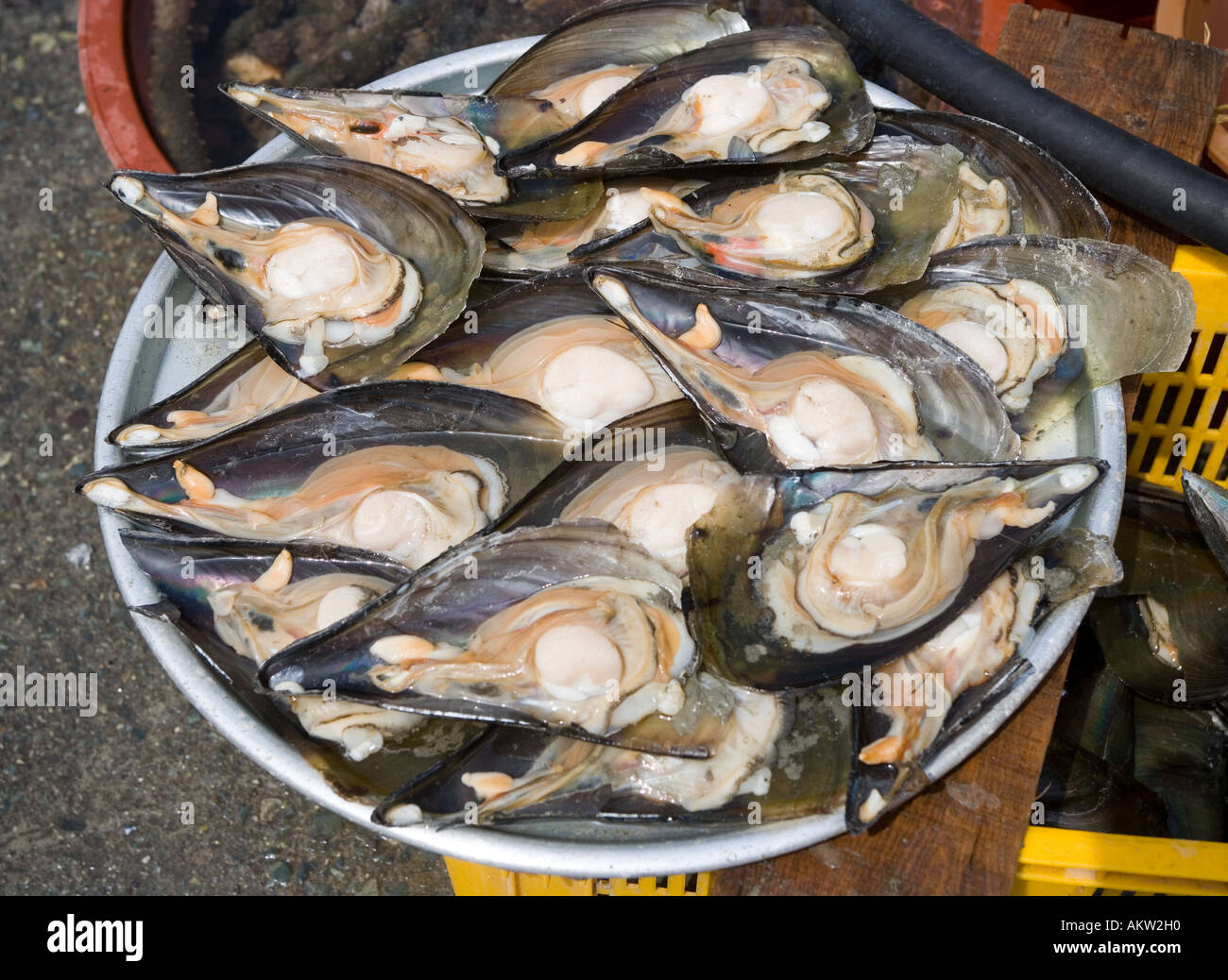 South Korea Busan Jagalchi Fish Market Stock Photo - Alamy