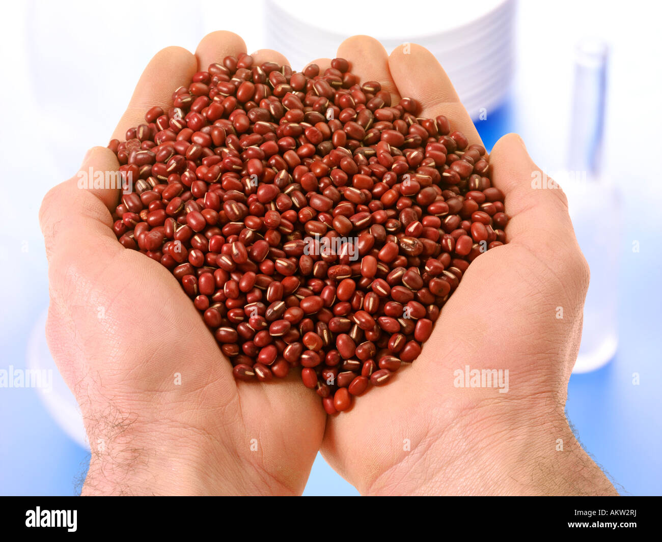 HANDFUL OF ADUKI BEANS Stock Photo - Alamy