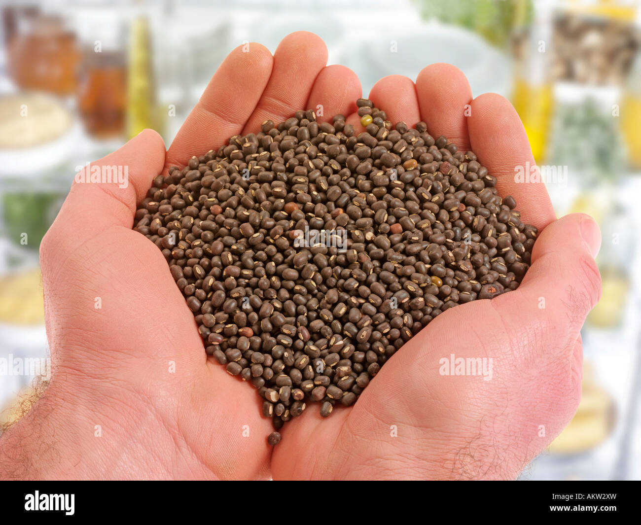 HANDFUL OF BLACK MUNG BEANS Stock Photo - Alamy