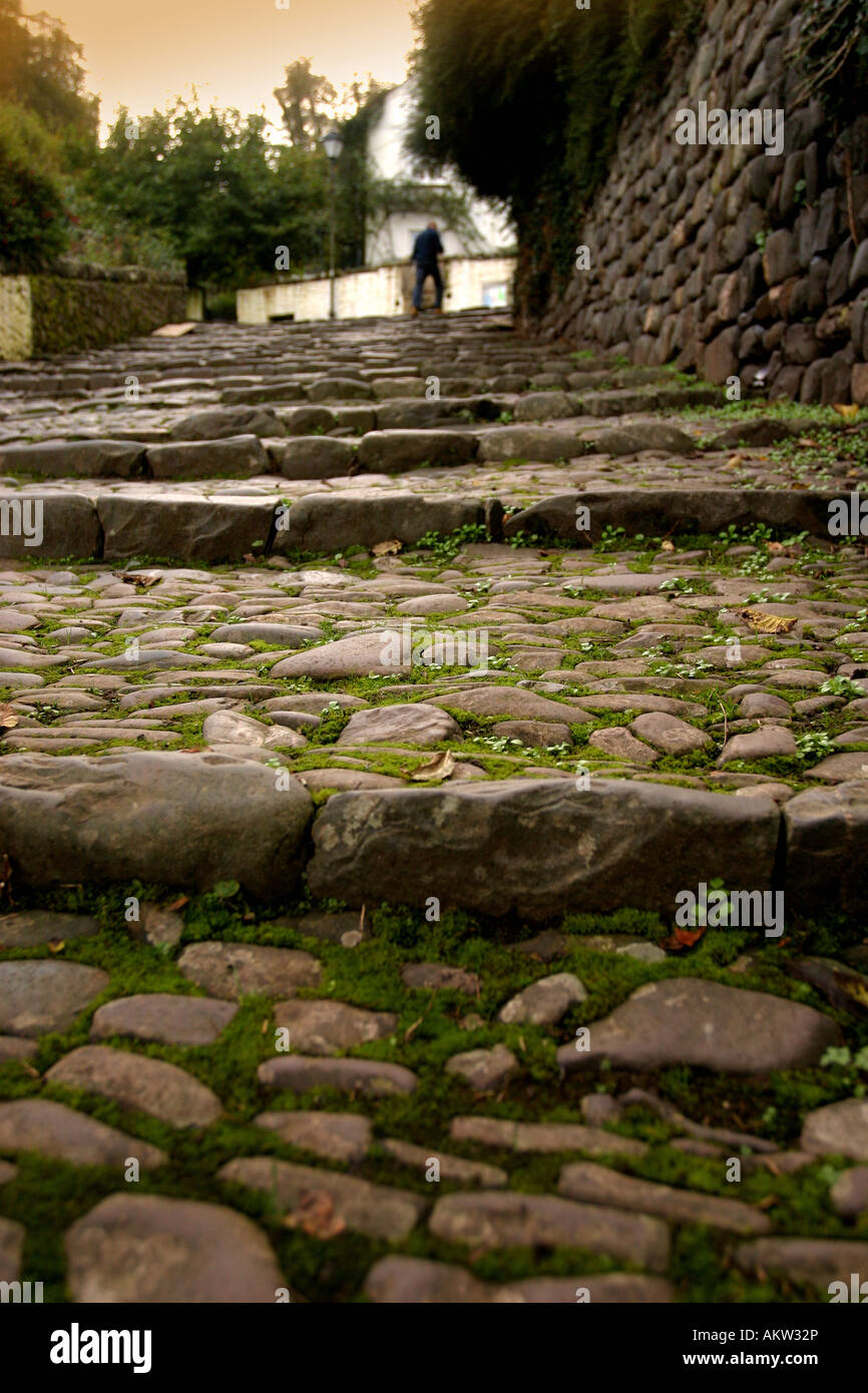 Cobbled steps Clovelly Village North Devon UK Stock Photo - Alamy