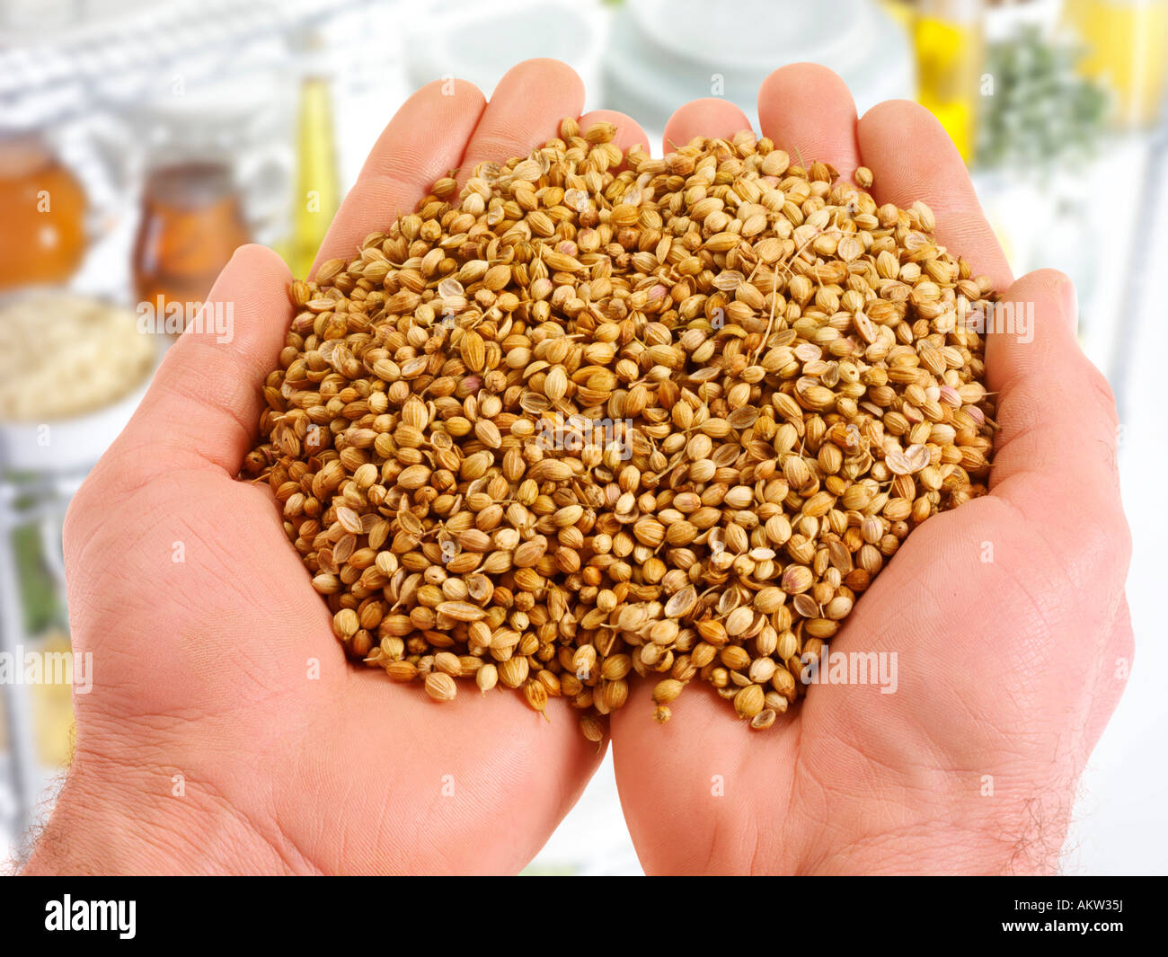 HANDFUL OF CORIANDER SEEDS Stock Photo - Alamy