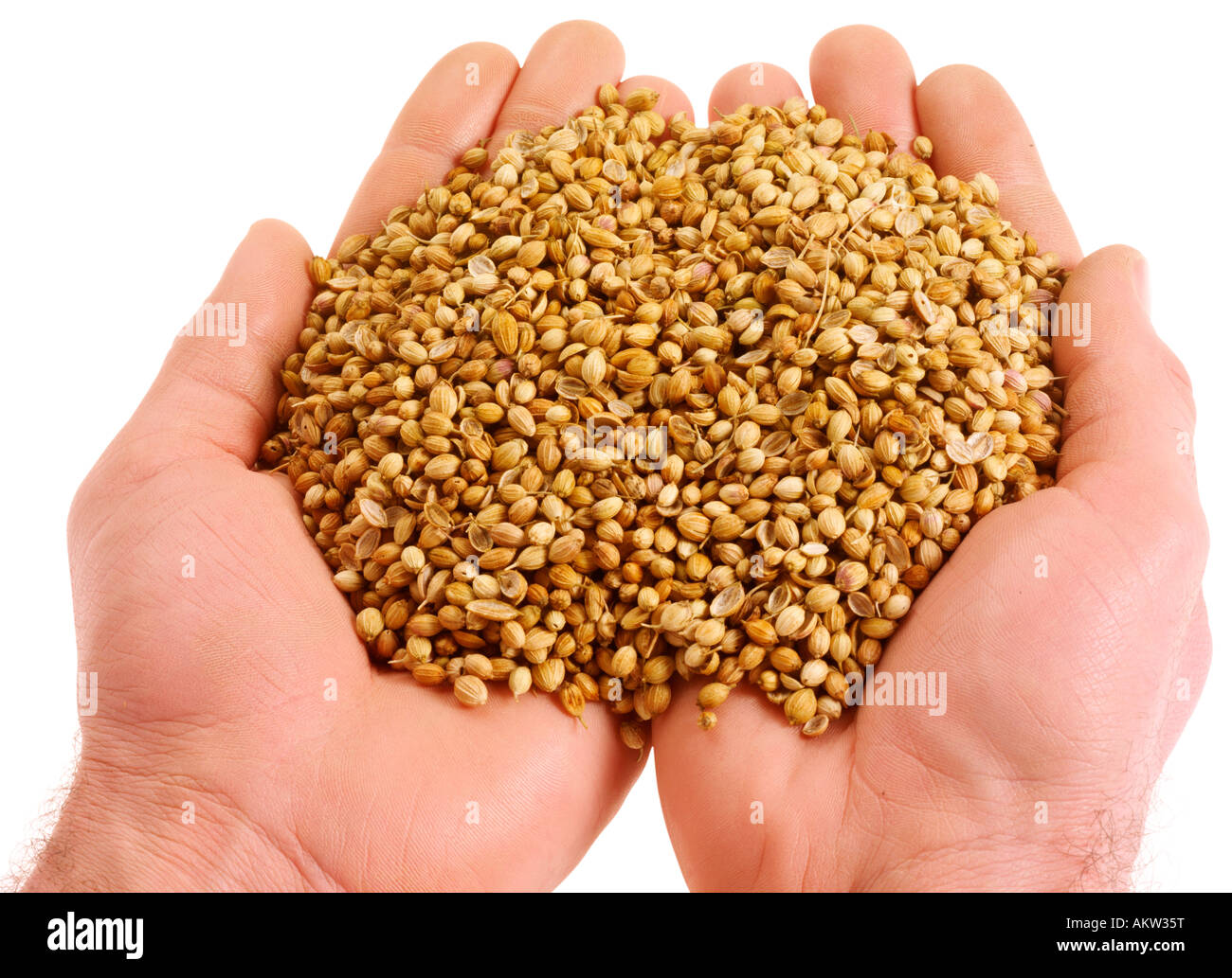 Handful coriander seeds hi-res stock photography and images - Alamy