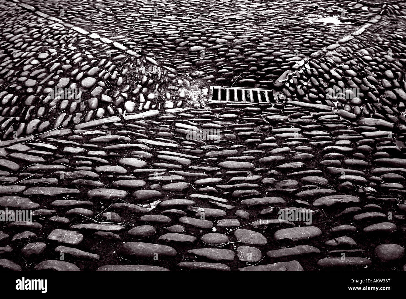 Cobbled stone pavement and drain Clovelly village North Devon UK Stock ...