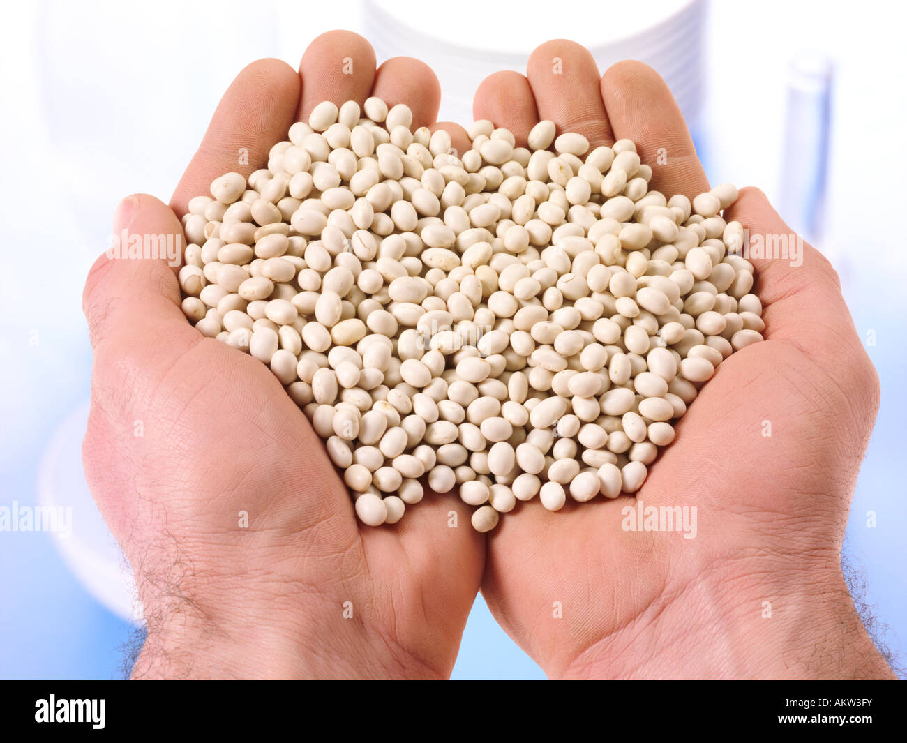 Haricot blanc hi-res stock photography and images - Alamy