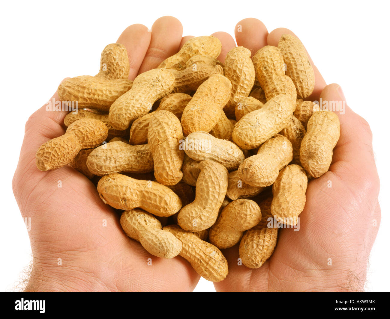 HANDFUL OF MONKEY NUTS Stock Photo - Alamy