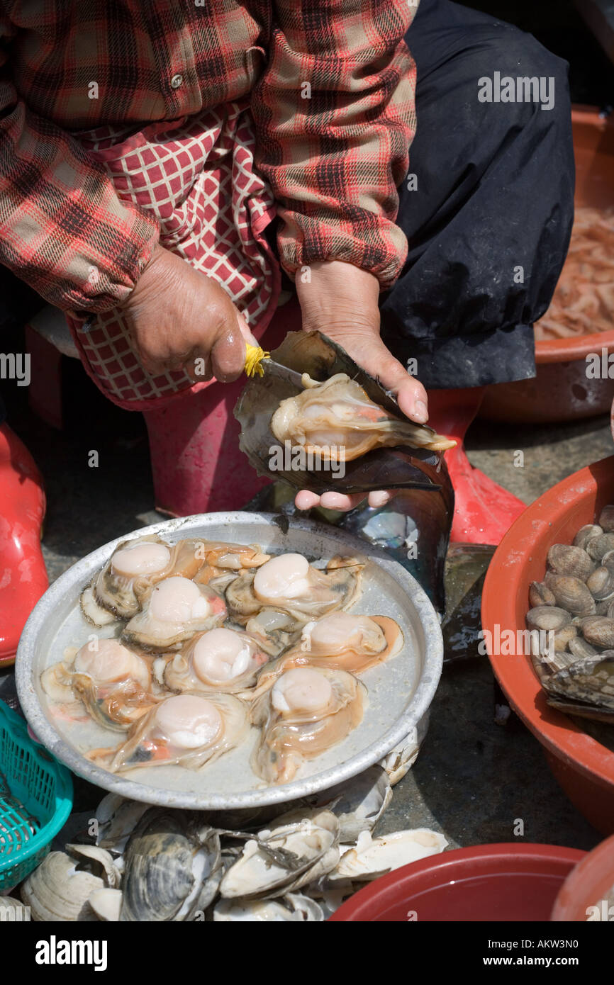 Shelling Fish at Jagalchi Fish Market Busan South Korea Stock Photo - Alamy