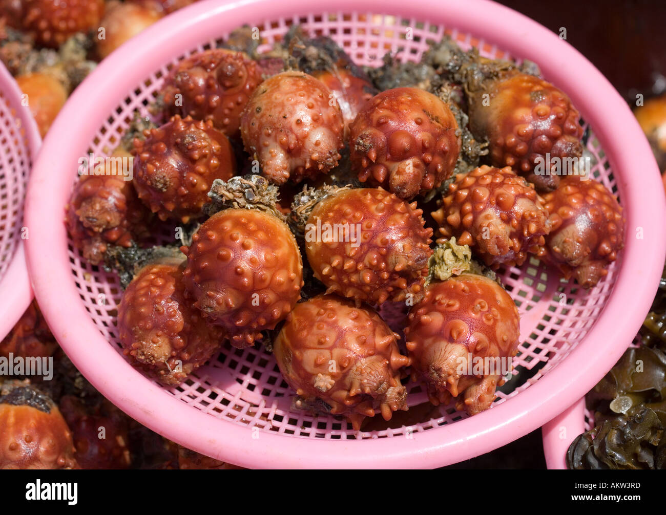 Maboya hi-res stock photography and images - Alamy