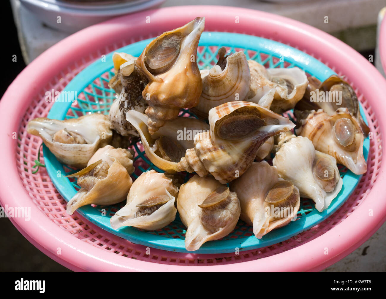 Jagalchi Fish Market Busan South Korea Stock Photo - Alamy