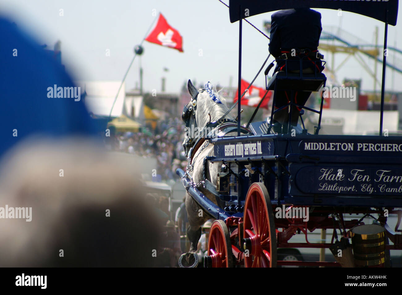 Percheron pulling dray at Great Dorset Steam Rally 2005 Stock Photo - Alamy