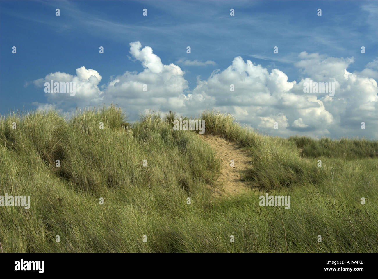 Coastal dunes with blue sky and clouds Holme Norfolk UK Stock Photo - Alamy