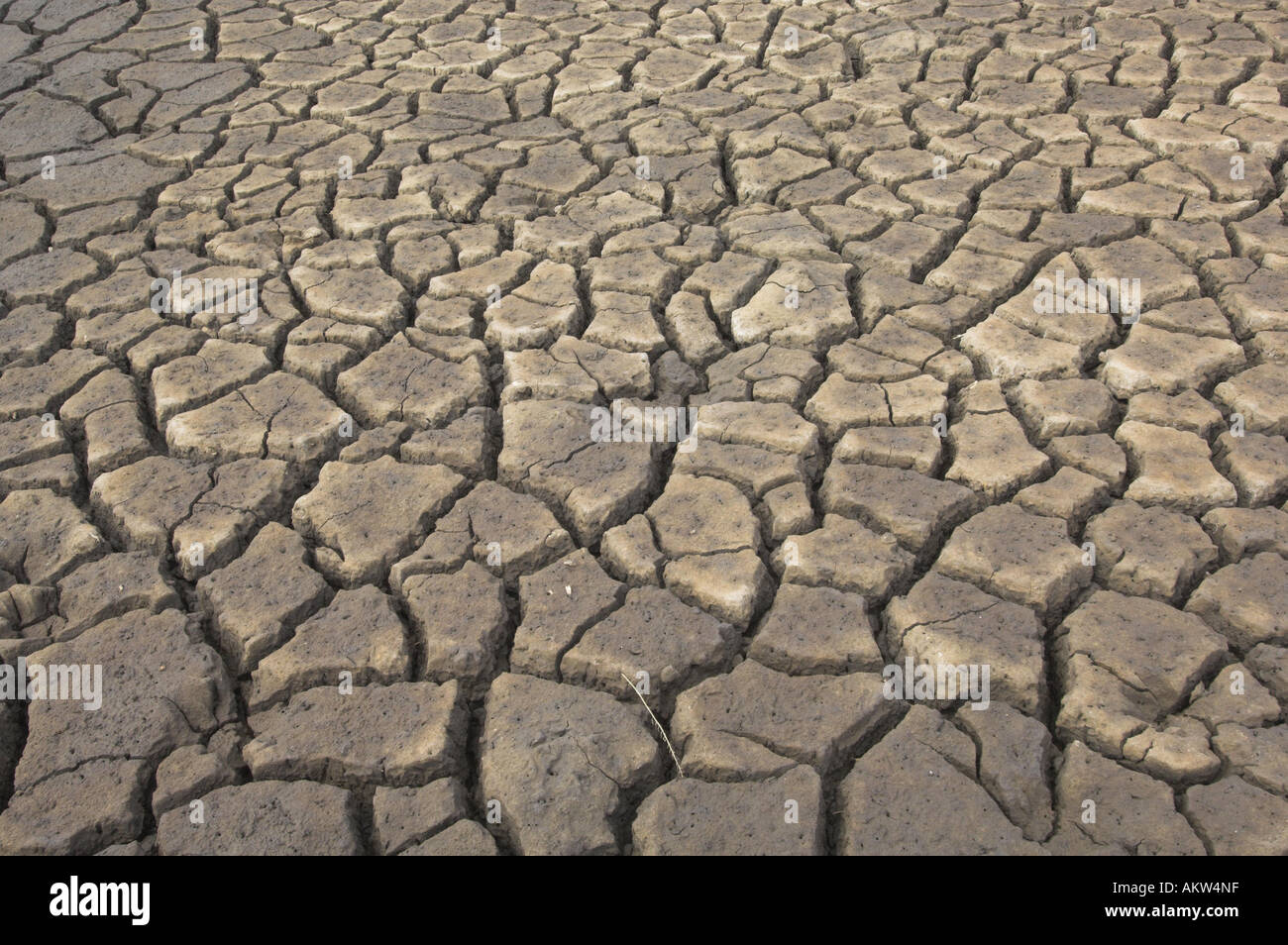 Dry river bed Stock Photo - Alamy