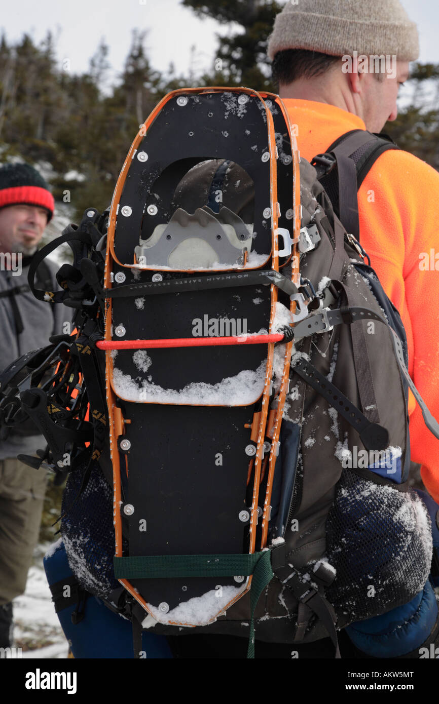 Hikers on Davis Path near Mount Crawford Located in the White Mountains ...