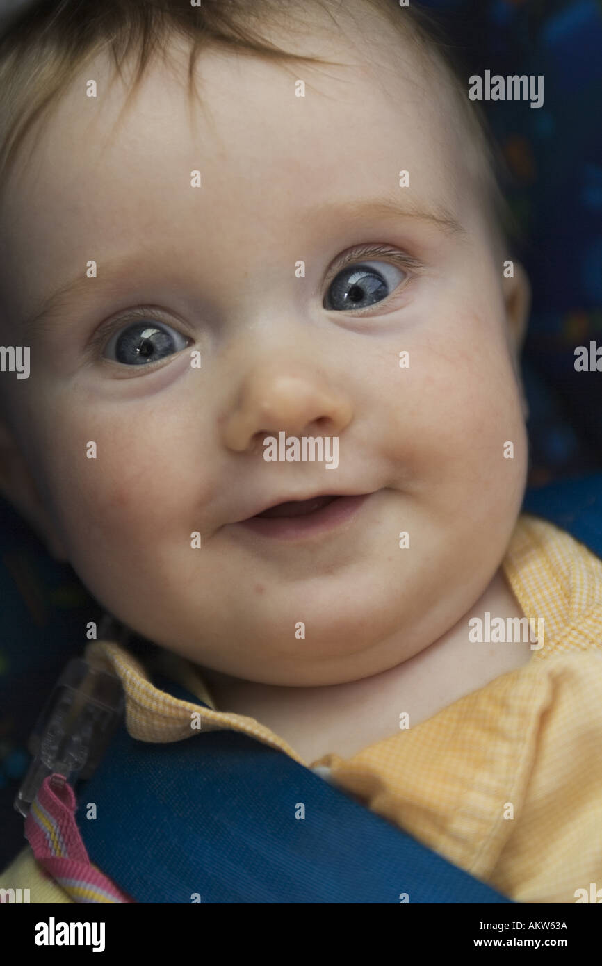 Indoor photograph image studio shot photo picture s stock shot hi-res ...